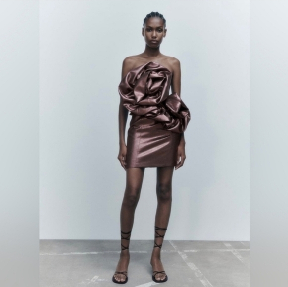 Zara | Dresses | Zara Metallic Rose Backless Dress | Poshmark